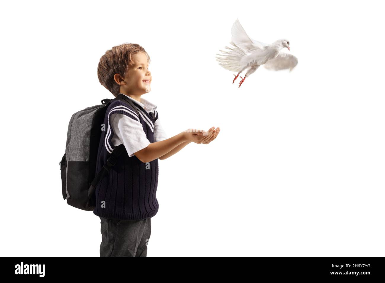 Boy in a school uniform letting a white dove fly from his hands ...
