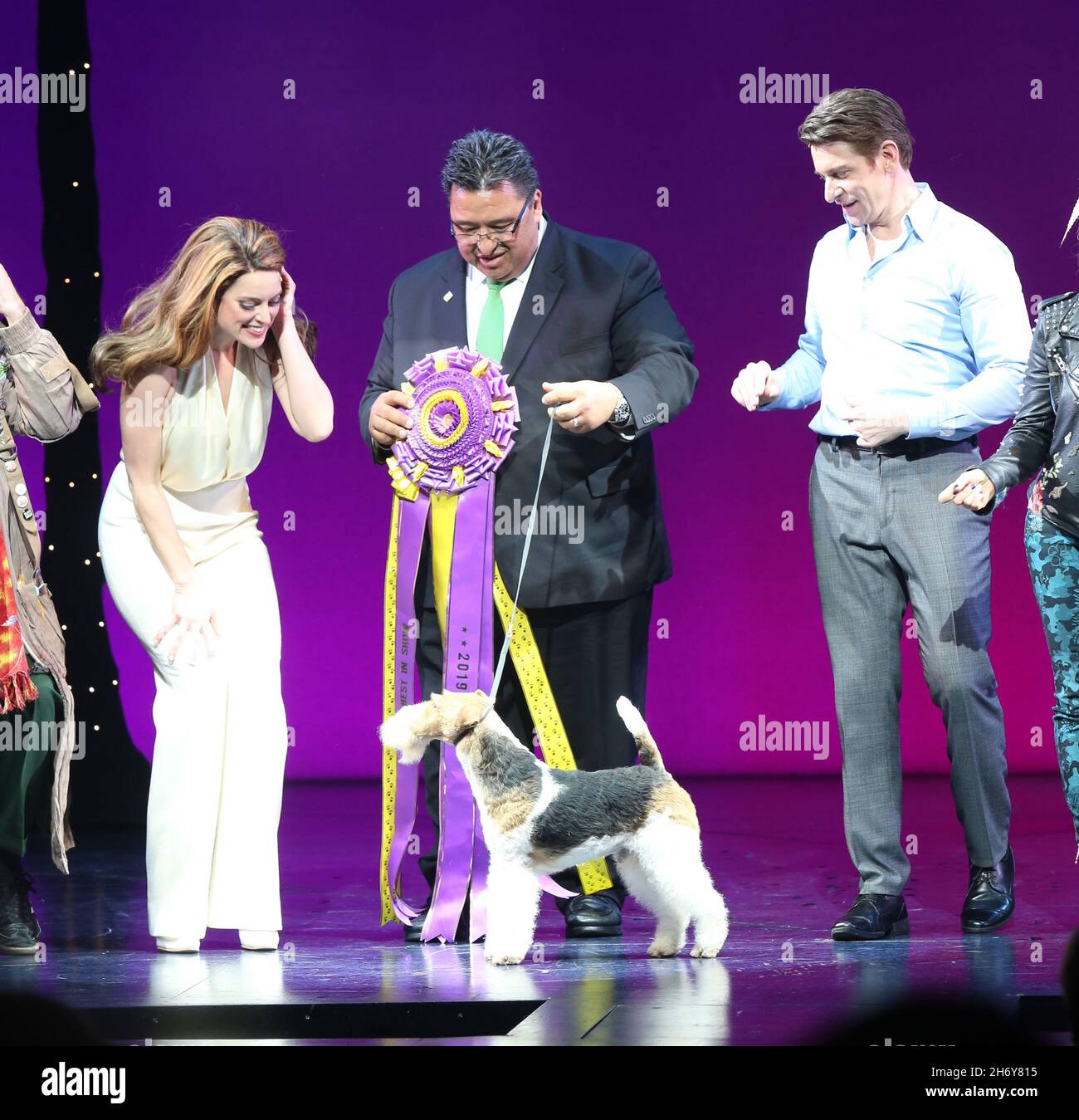 New York - NY - 20190213 - Curtain Call for 2019 Westminster Kennel ...