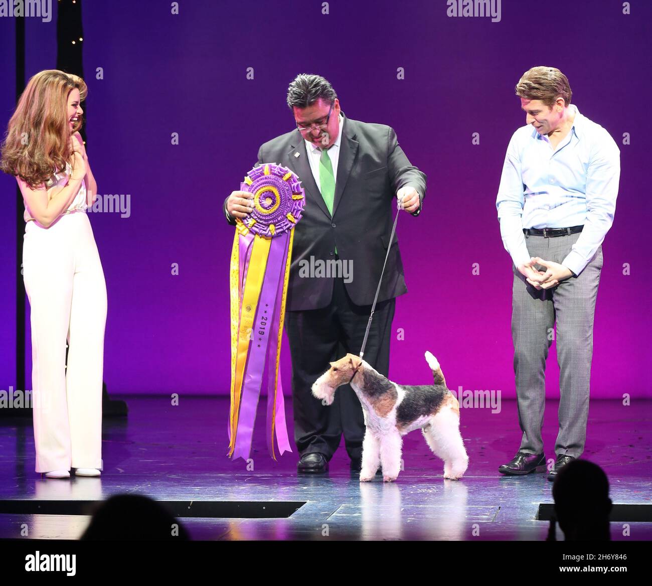 New York - NY - 20190213 - Curtain Call for 2019 Westminster Kennel ...