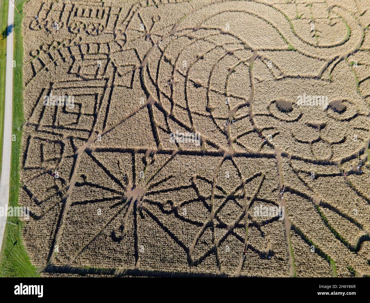 Aerial photograph of Treinen Farm's Schršdinger Cat Corn Maze on a ...