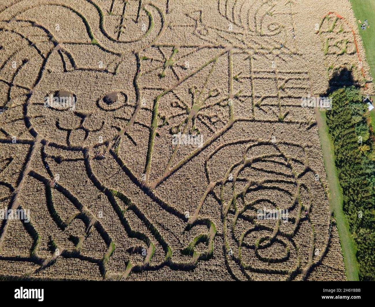 Aerial photograph of Treinen Farm's Schršdinger Cat Corn Maze on a ...
