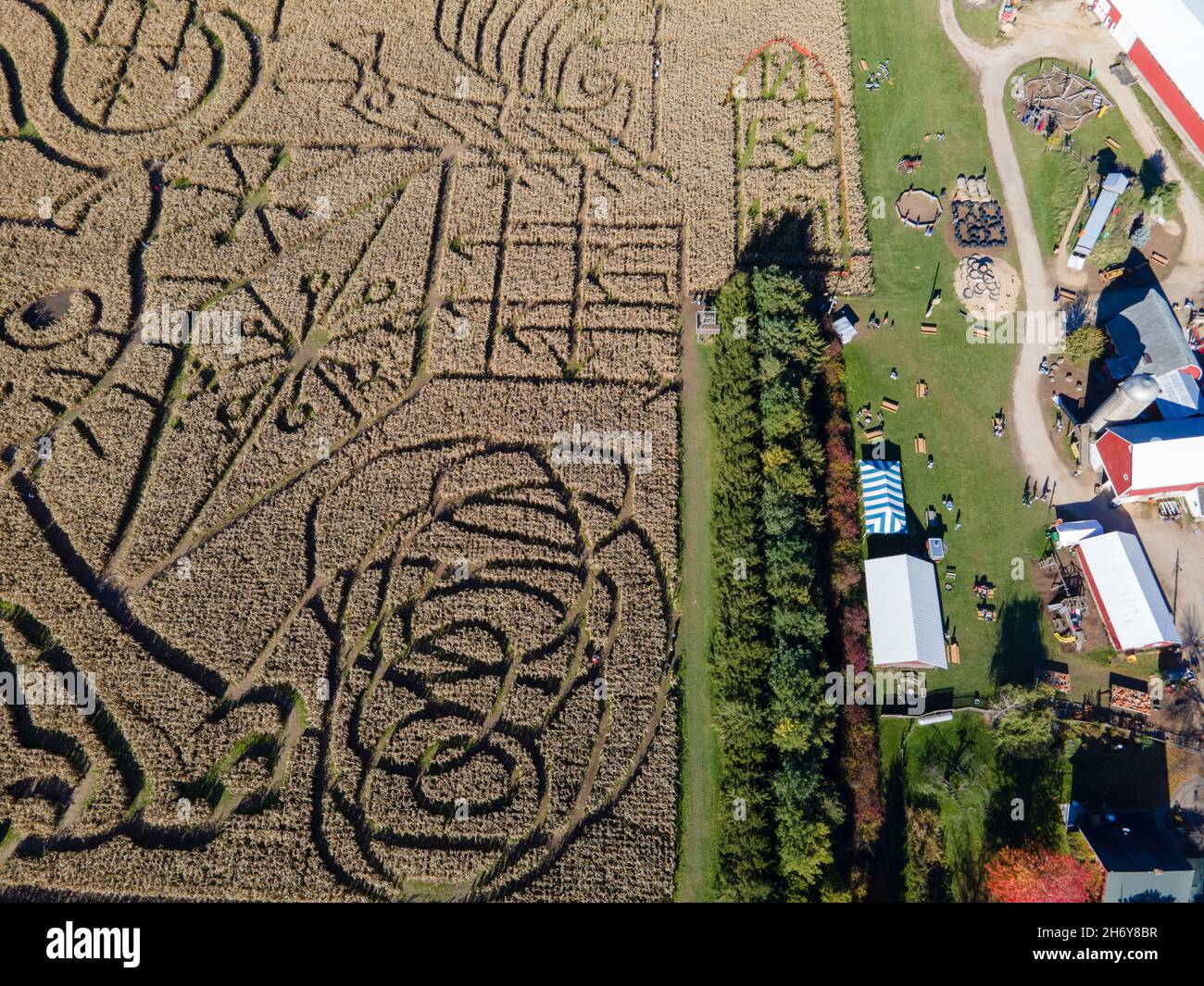 Aerial photograph of Treinen Farm's Schršdinger Cat Corn Maze on a ...