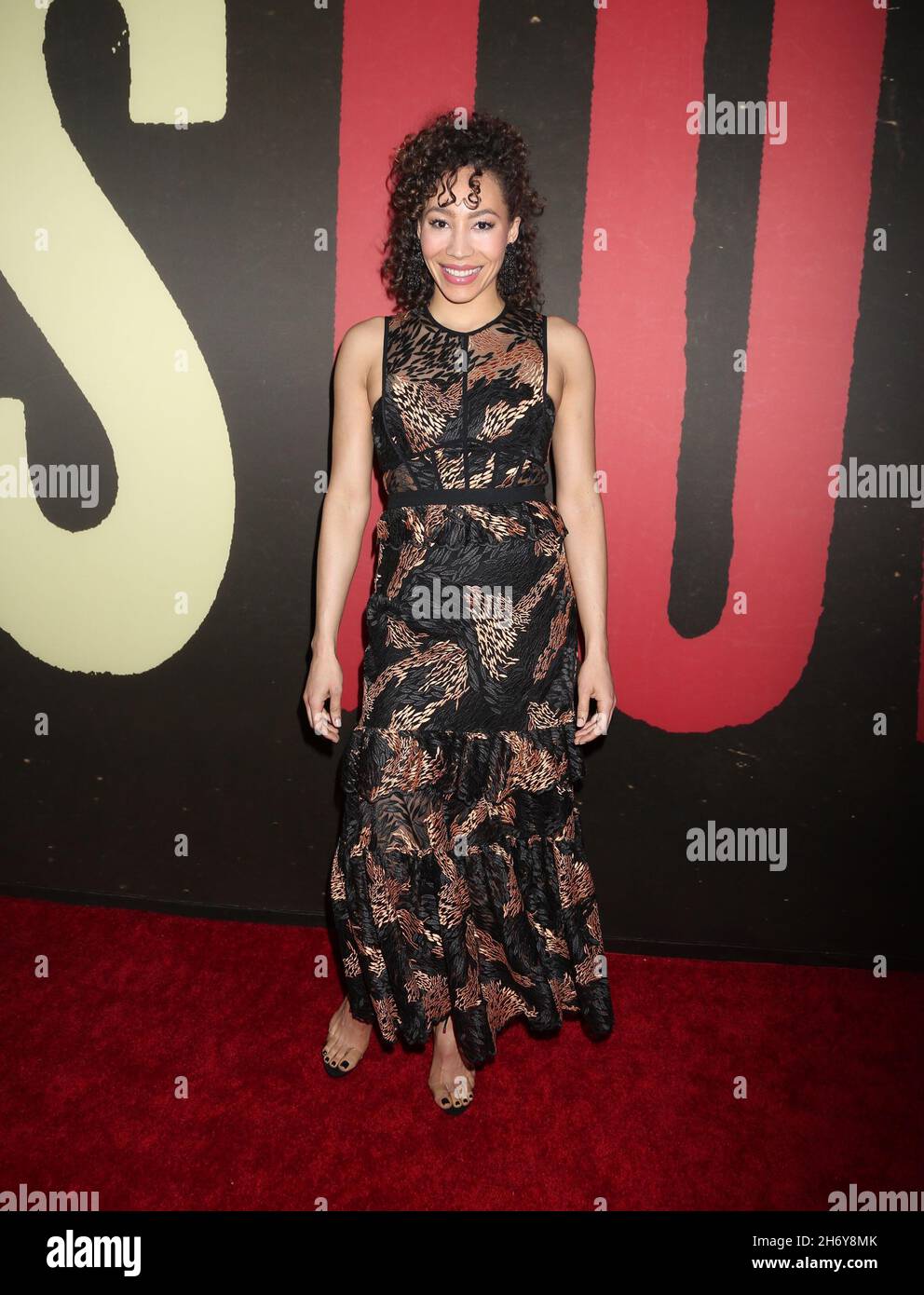 New York - NY - 20190417 - Broadway Opening Night party for Hadestownat ...