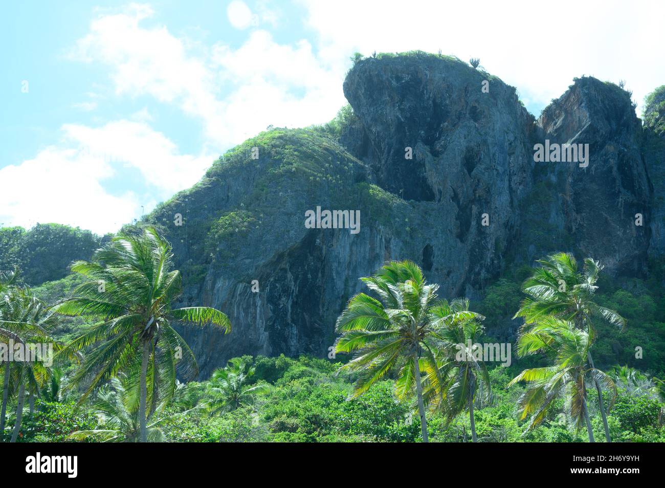 This photo shows how a rock protrudes from the fabulous jungle of the ...