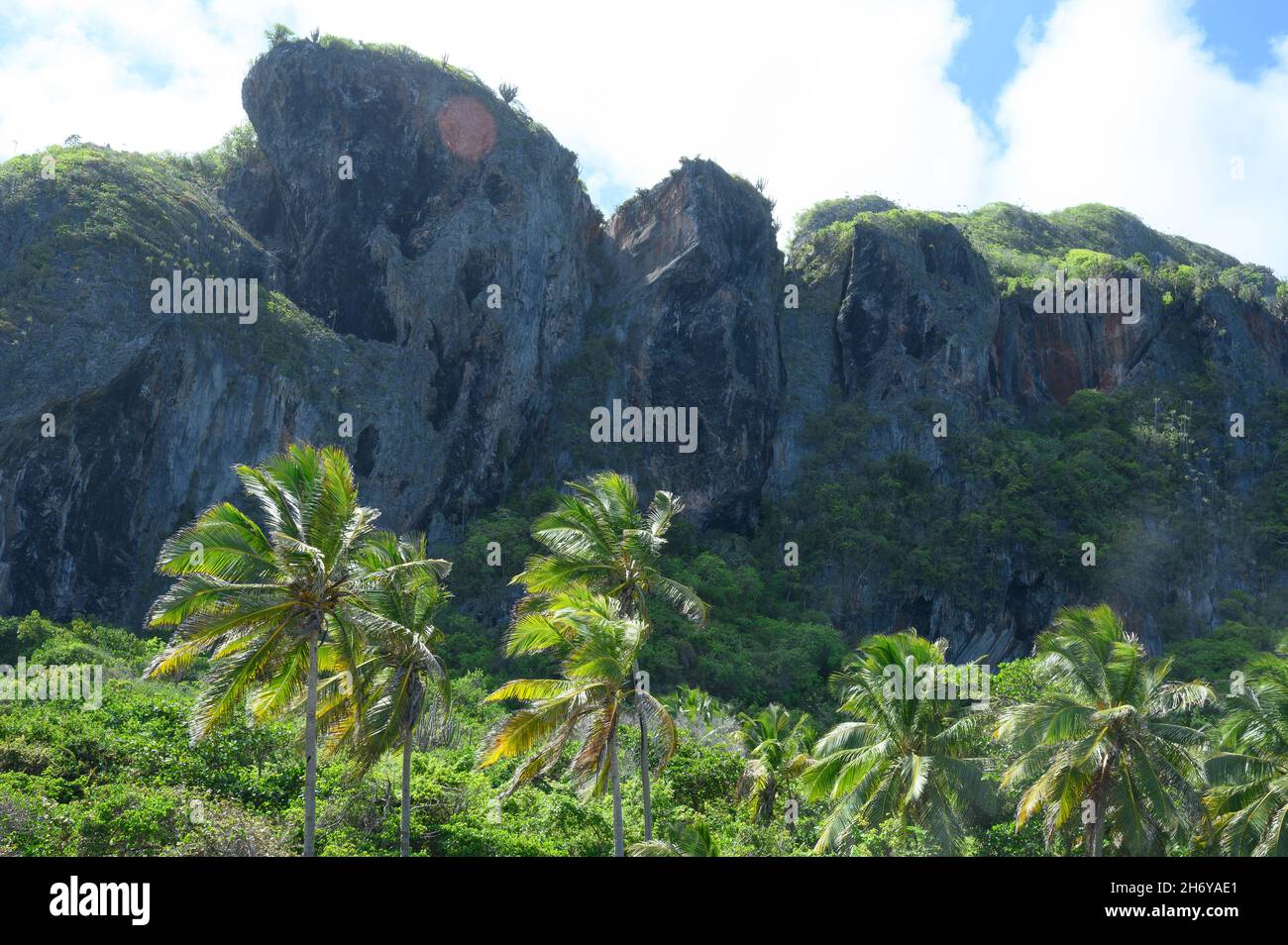 This photo shows how a rock protrudes from the fabulous jungle of the ...
