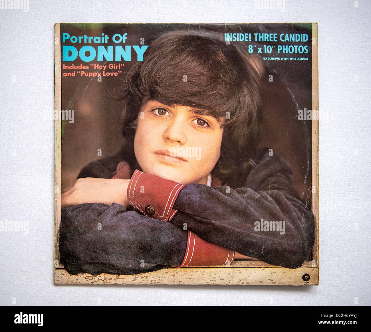 LP cover of Portrait of Donny, the third studio album by American ...