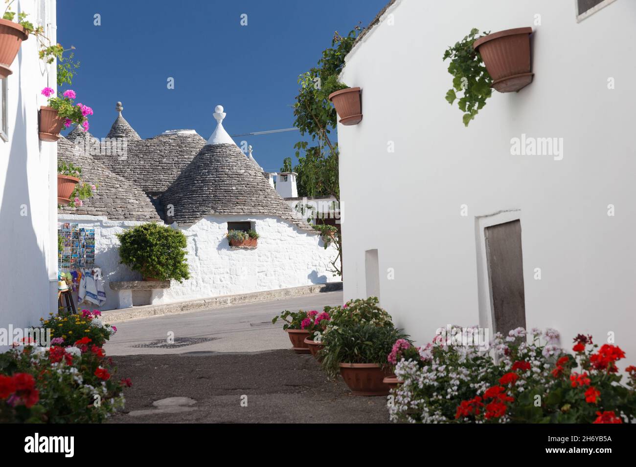 Traditional Trulli buildings lined with colorful flowers in Alberobello ...