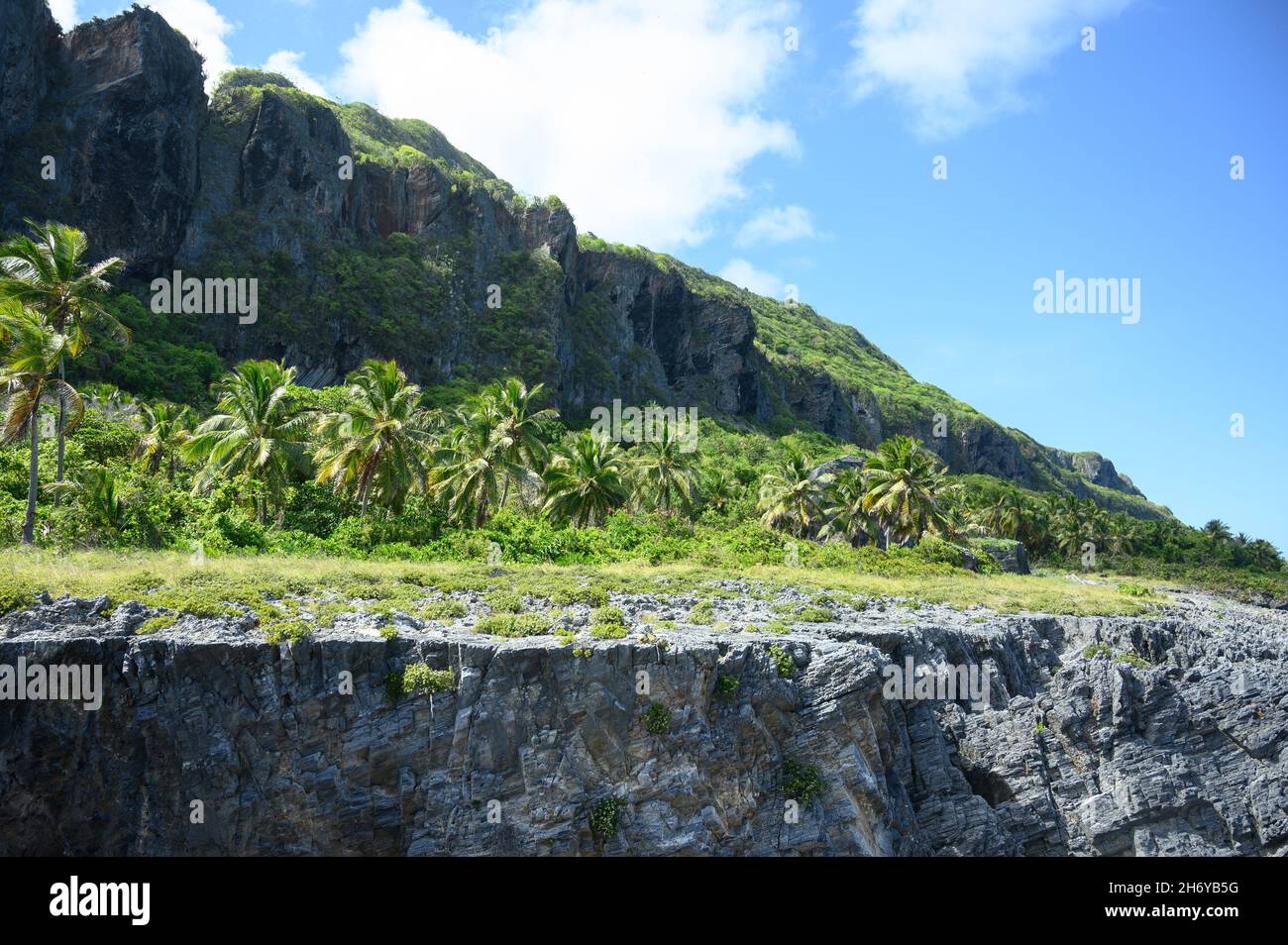 This photo shows how a rock protrudes from the fabulous jungle of the ...