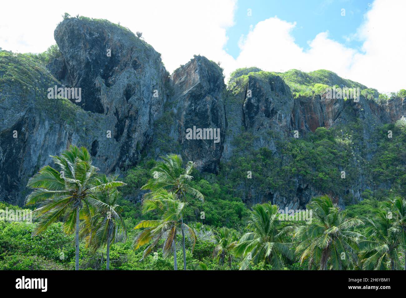 This photo shows how a rock protrudes from the fabulous jungle of the ...