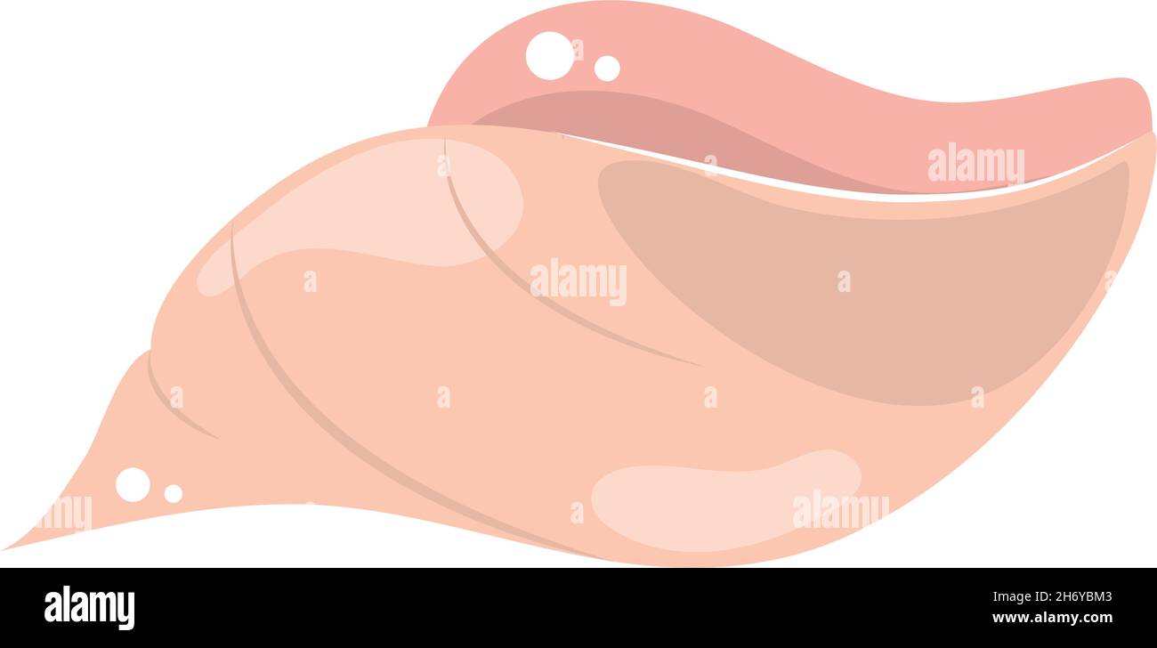 shell vector icon Stock Vector Image & Art - Alamy
