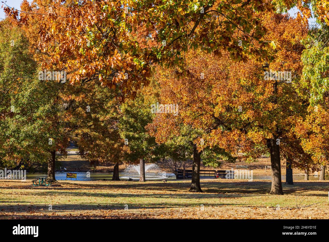 Beautiful fall color of the Owen Park at Tulsa, Oklahoma Stock Photo ...
