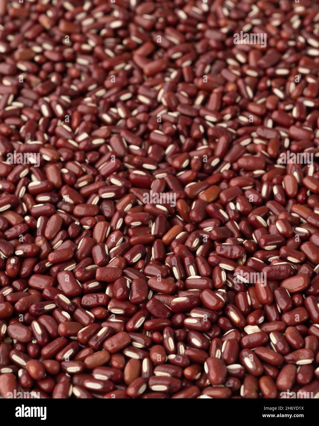Closeup of azuki beans in perspective with narrow focus Stock Photo - Alamy