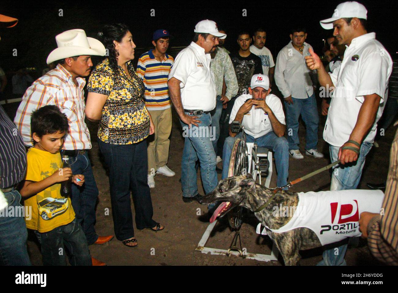 El perro toto hi-res stock photography and images - Alamy