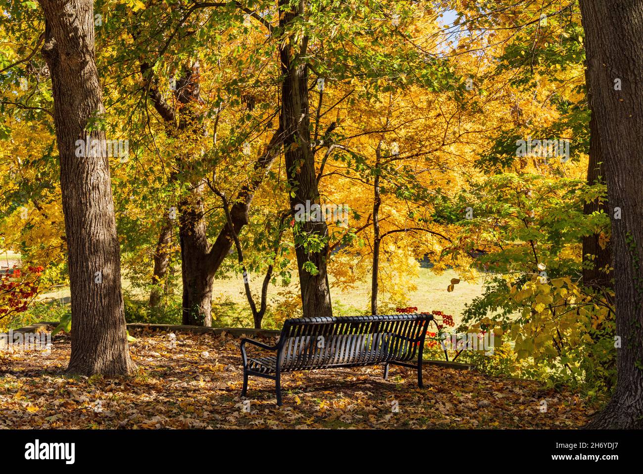 Beautiful fall color in the famous Philbrook Museum of Art at Tulsa ...