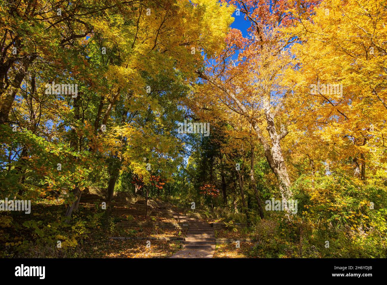 Beautiful fall color in the famous Philbrook Museum of Art at Tulsa ...