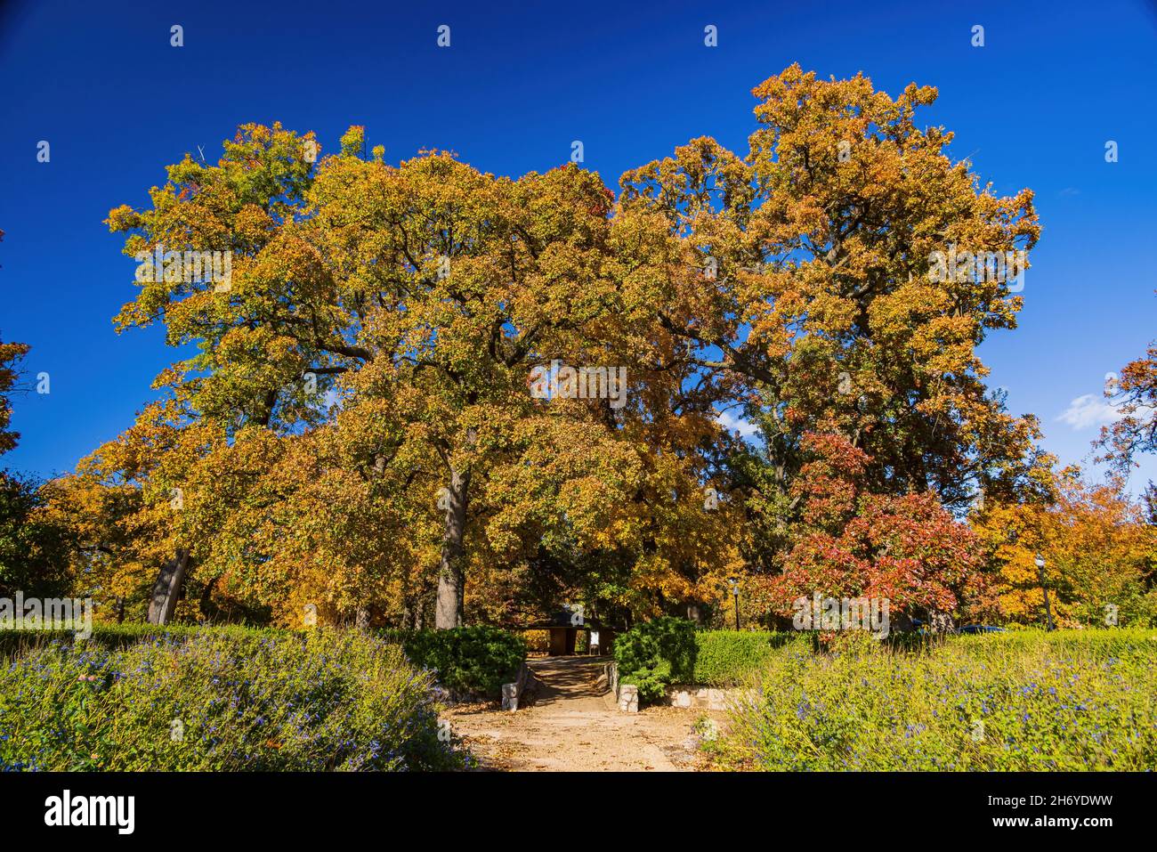 Fall color of the Woodward Park at Tulsa, Oklahoma Stock Photo - Alamy