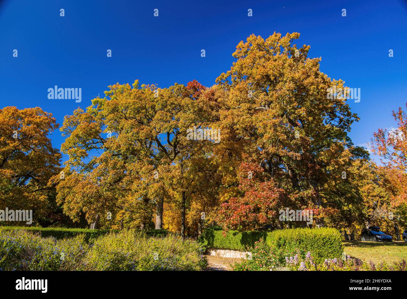 Fall color of the Woodward Park at Tulsa, Oklahoma Stock Photo - Alamy