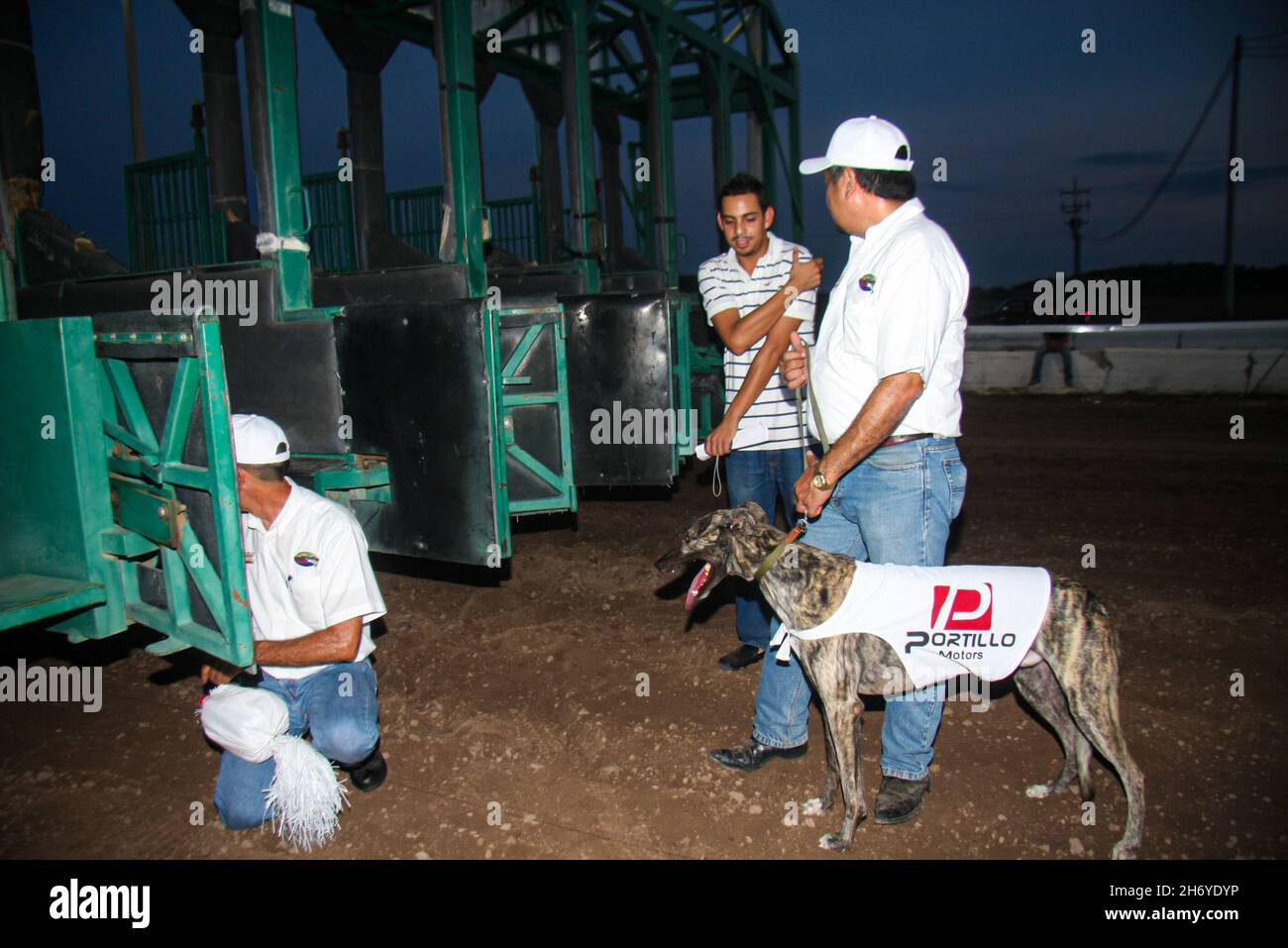 Toto el perro hi-res stock photography and images - Alamy
