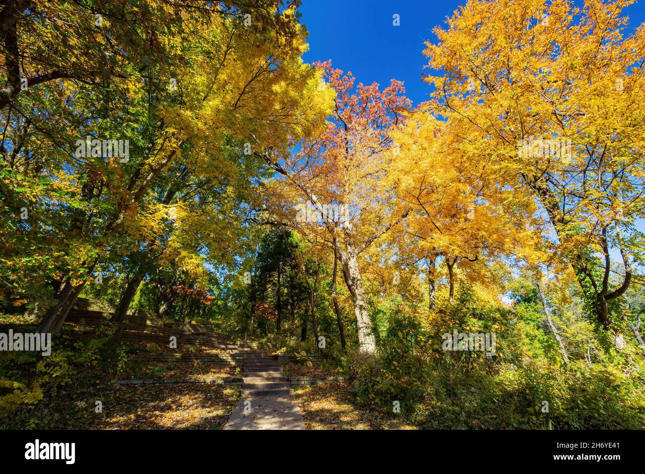 Beautiful fall color in the famous Philbrook Museum of Art at Tulsa ...