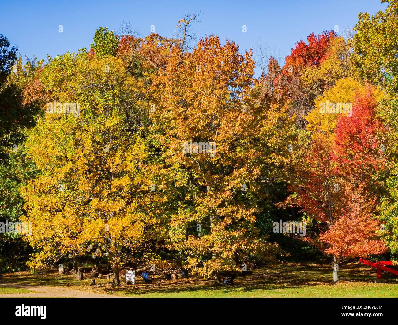 Beautiful fall color in the famous Philbrook Museum of Art at Tulsa ...
