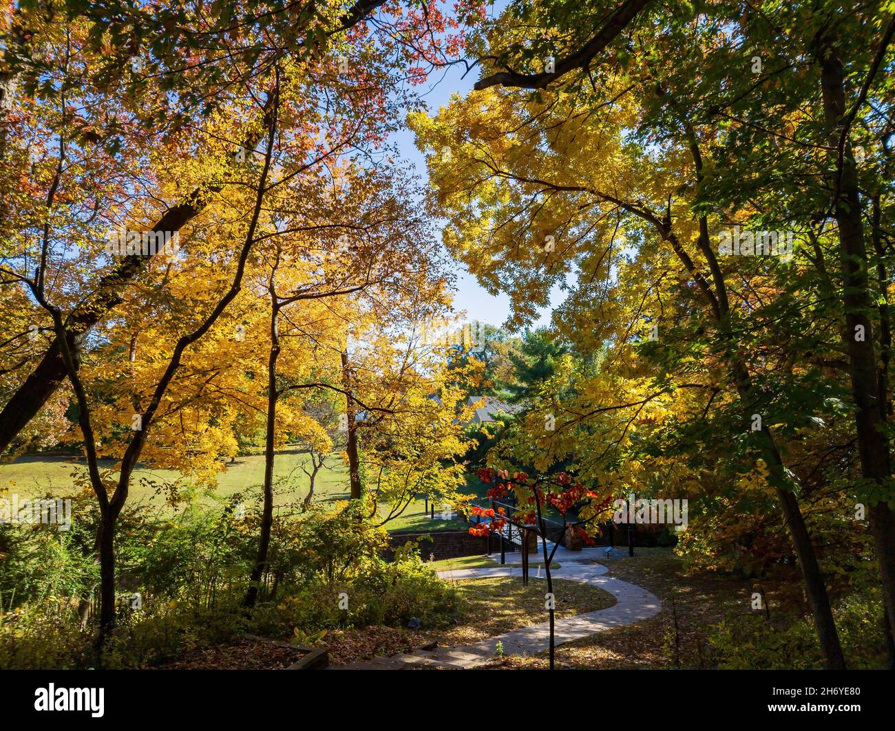 Beautiful fall color in the famous Philbrook Museum of Art at Tulsa ...