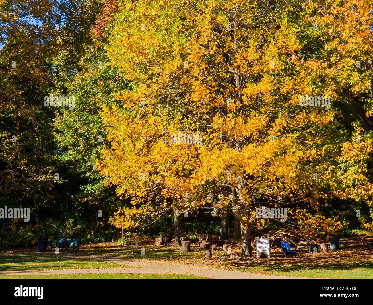 Beautiful fall color in the famous Philbrook Museum of Art at Tulsa ...