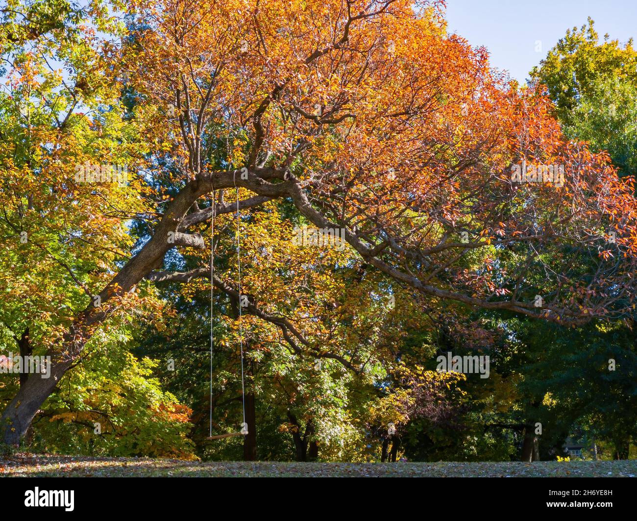 Beautiful fall color in the famous Philbrook Museum of Art at Tulsa ...