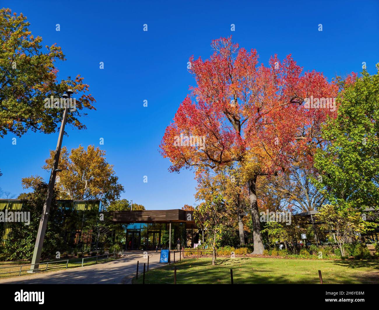 Beautiful fall color of the Gathering Place at Tulsa, Oklahoma Stock ...