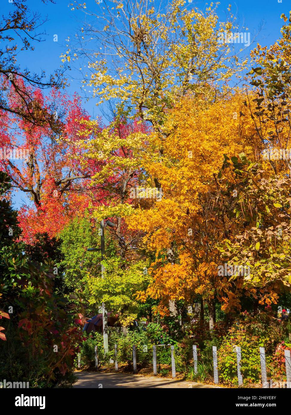 Beautiful fall color of the Gathering Place at Tulsa, Oklahoma Stock ...