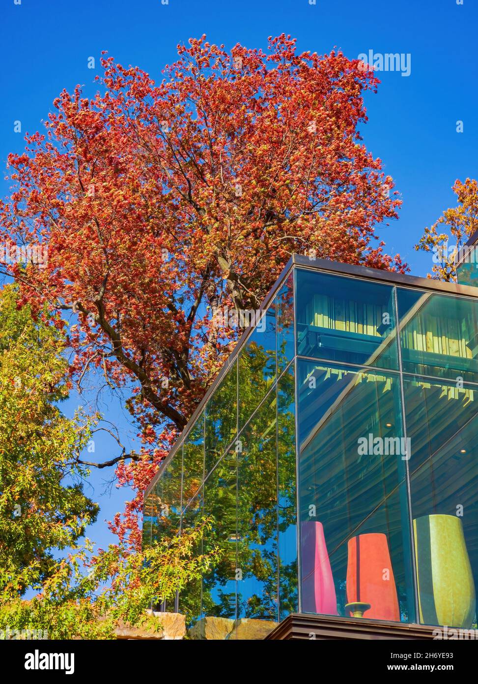 Beautiful fall color of Williams Lodge of Gathering Place at Tulsa ...