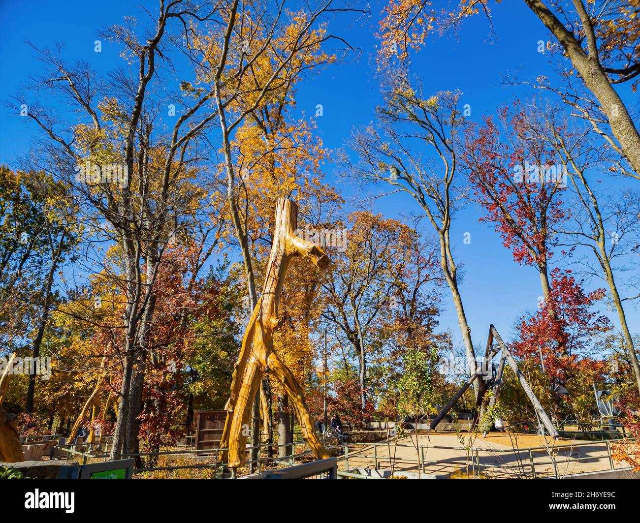 Beautiful fall color of the Gathering Place at Tulsa, Oklahoma Stock ...