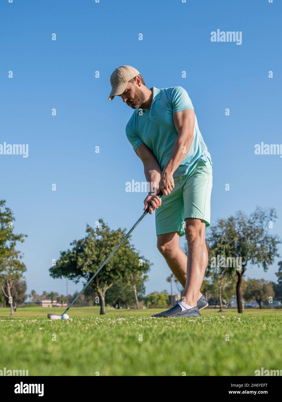 standing man playing golf game on green grass, golfing Stock Photo - Alamy