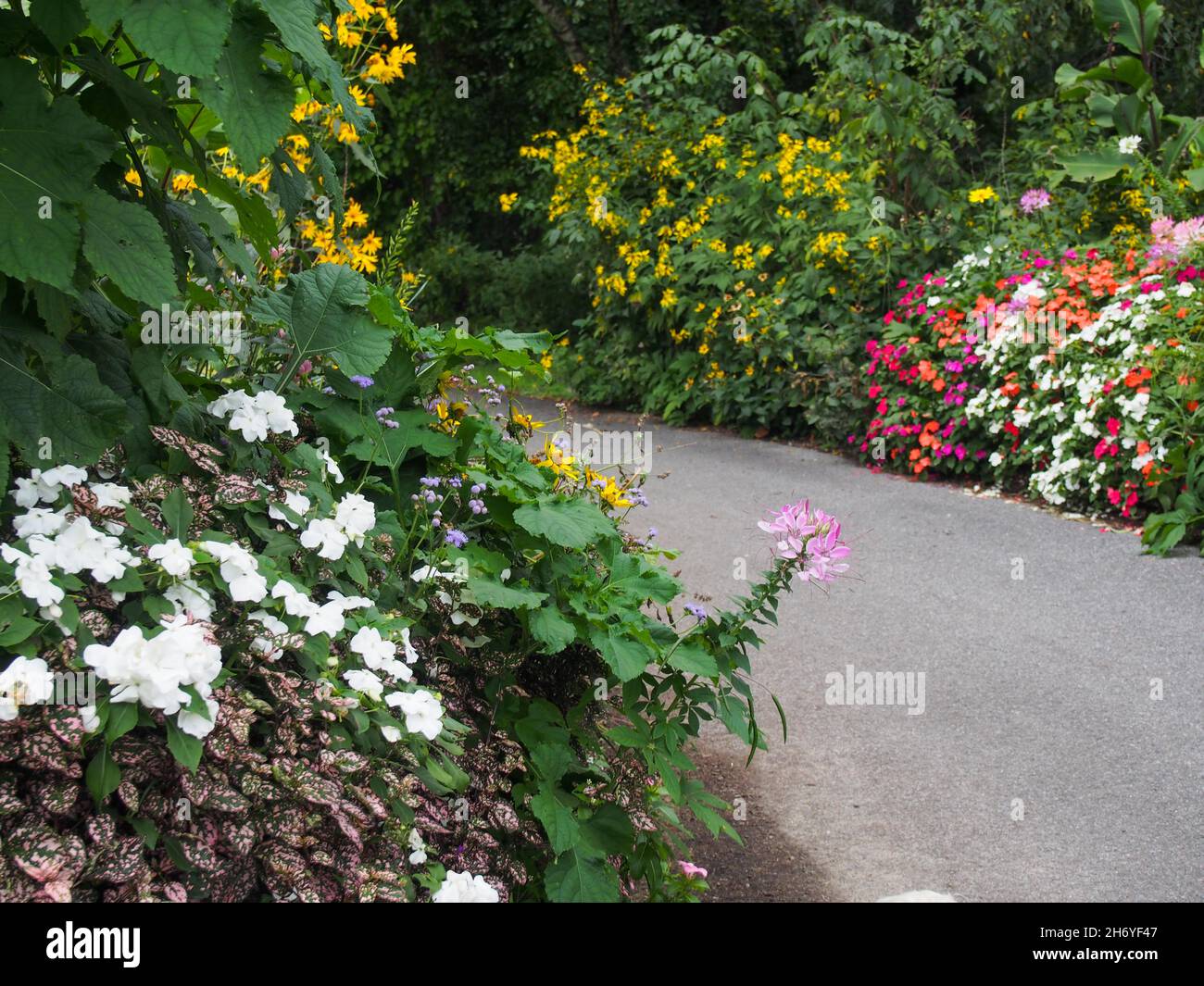 Beautifully landscaped walking path at Saratoga Spa State Park in ...