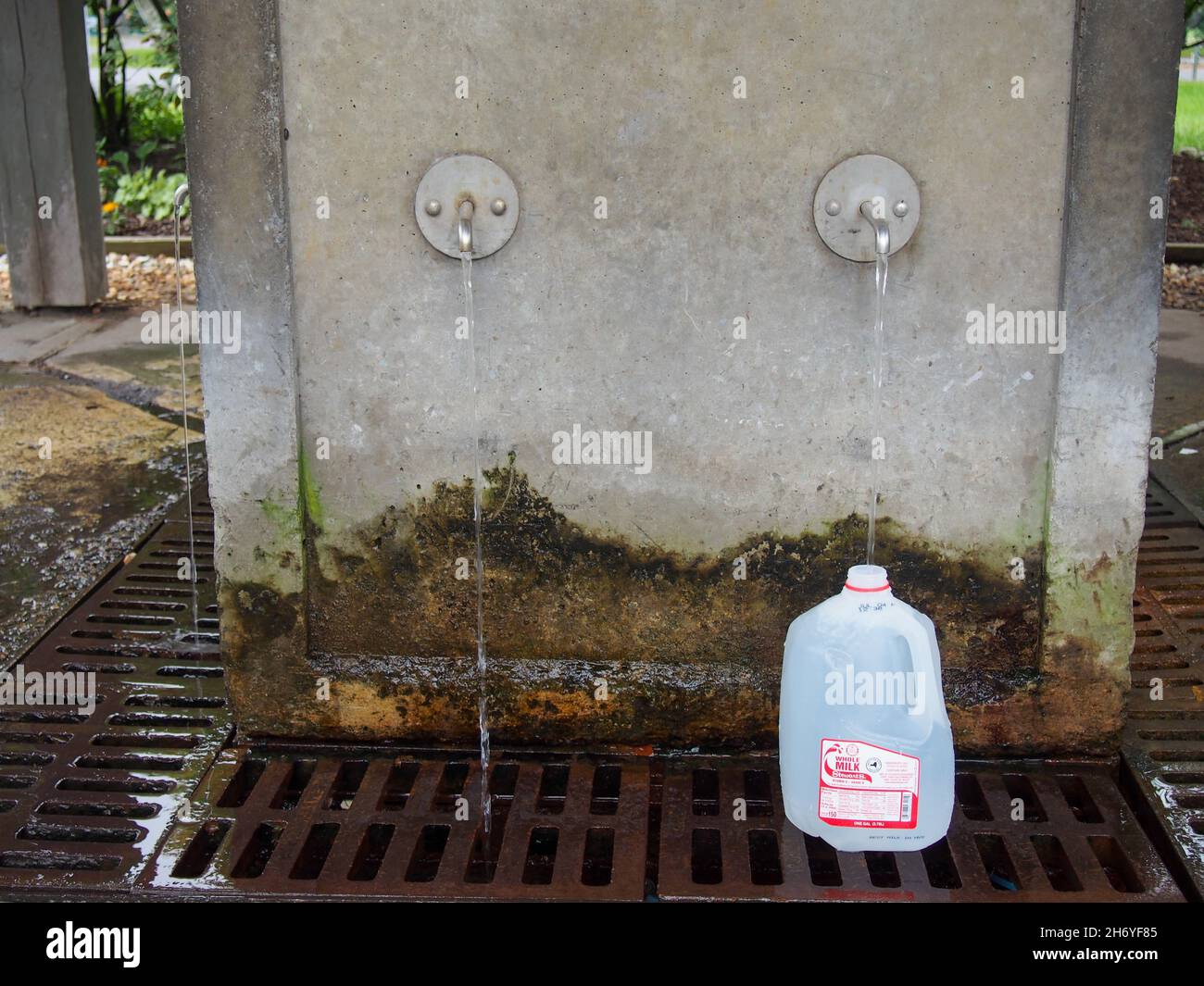 Plastic gallon jug being filled with pure Saratoga Springs water at ...
