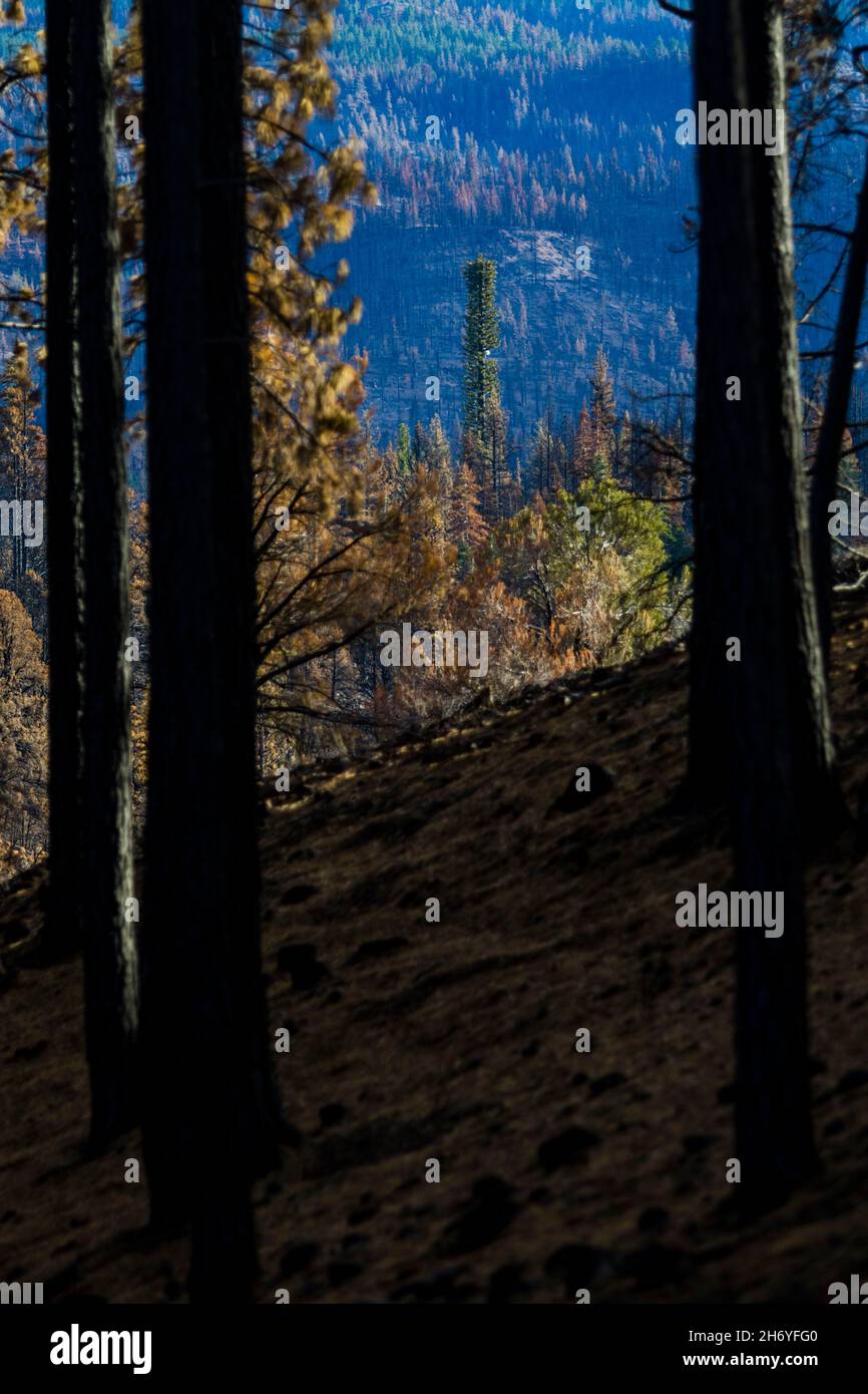 Cell tower fire hi-res stock photography and images - Alamy