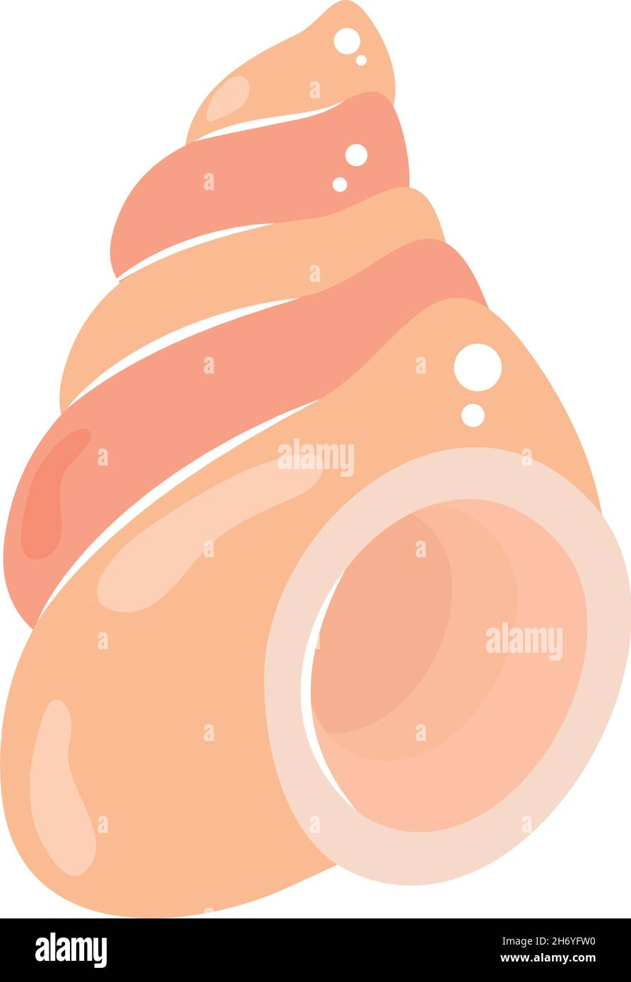 nautilus shell icon Stock Vector Image & Art - Alamy
