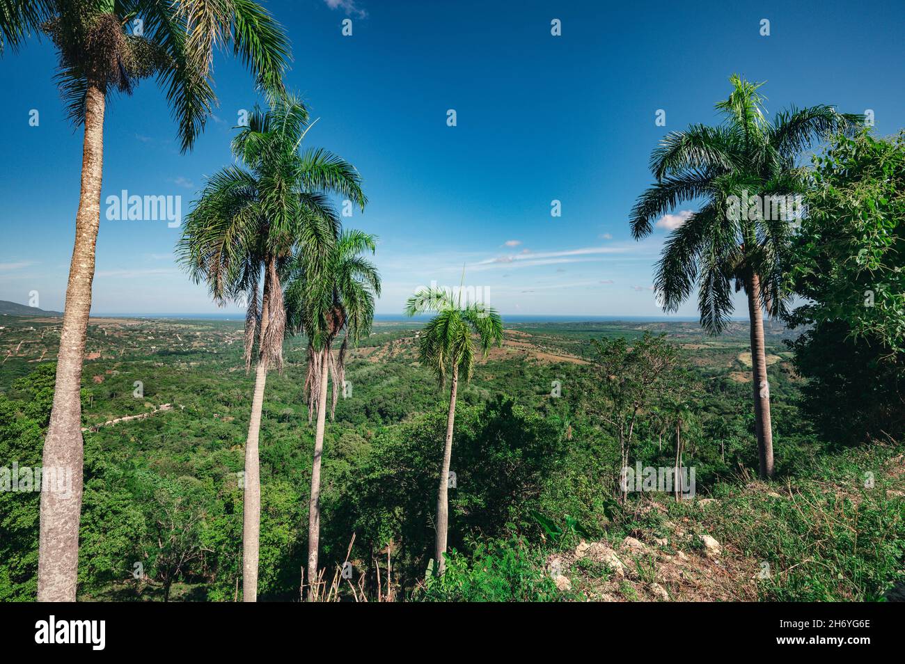 Wonderful aerial view of tropics, palms. Panorama mountains with ...