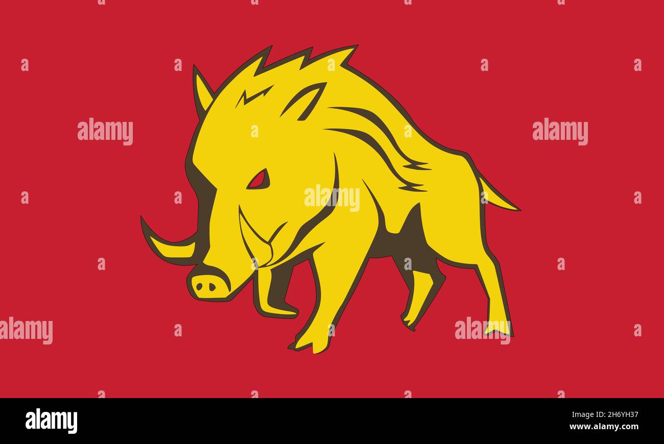 Top view of Hampshire hog county, UK flag. County of united kingdom of ...