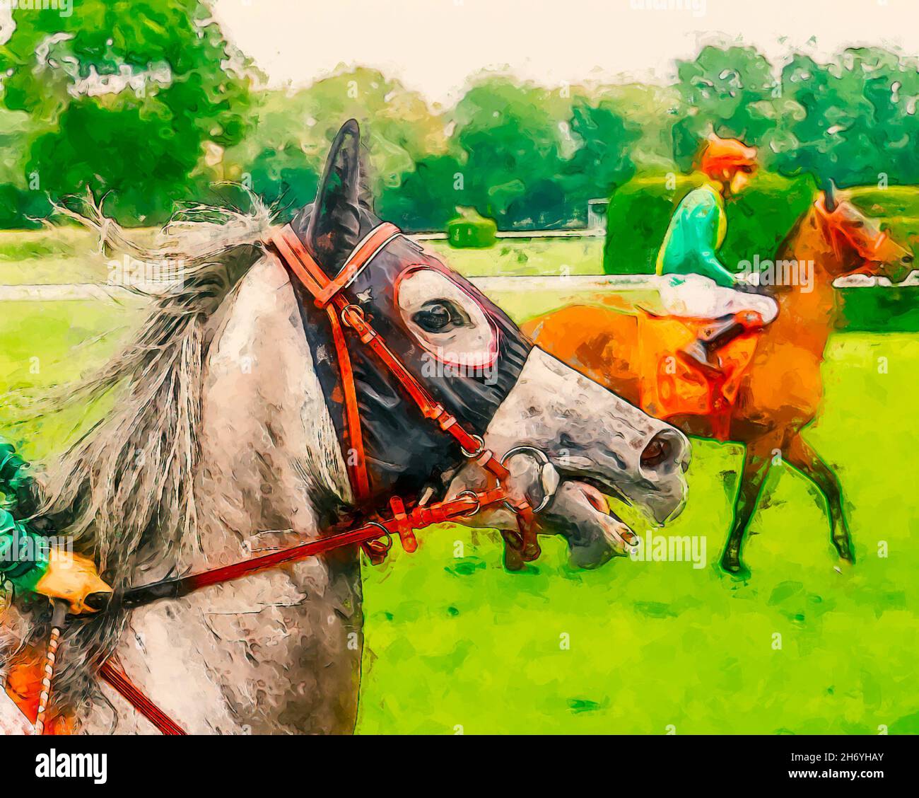 portrait of stunning dressage chestnut budyonny gelding horse in bridle ...