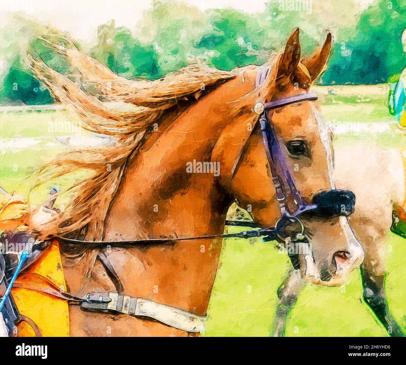 portrait of stunning dressage chestnut budyonny gelding horse in bridle ...