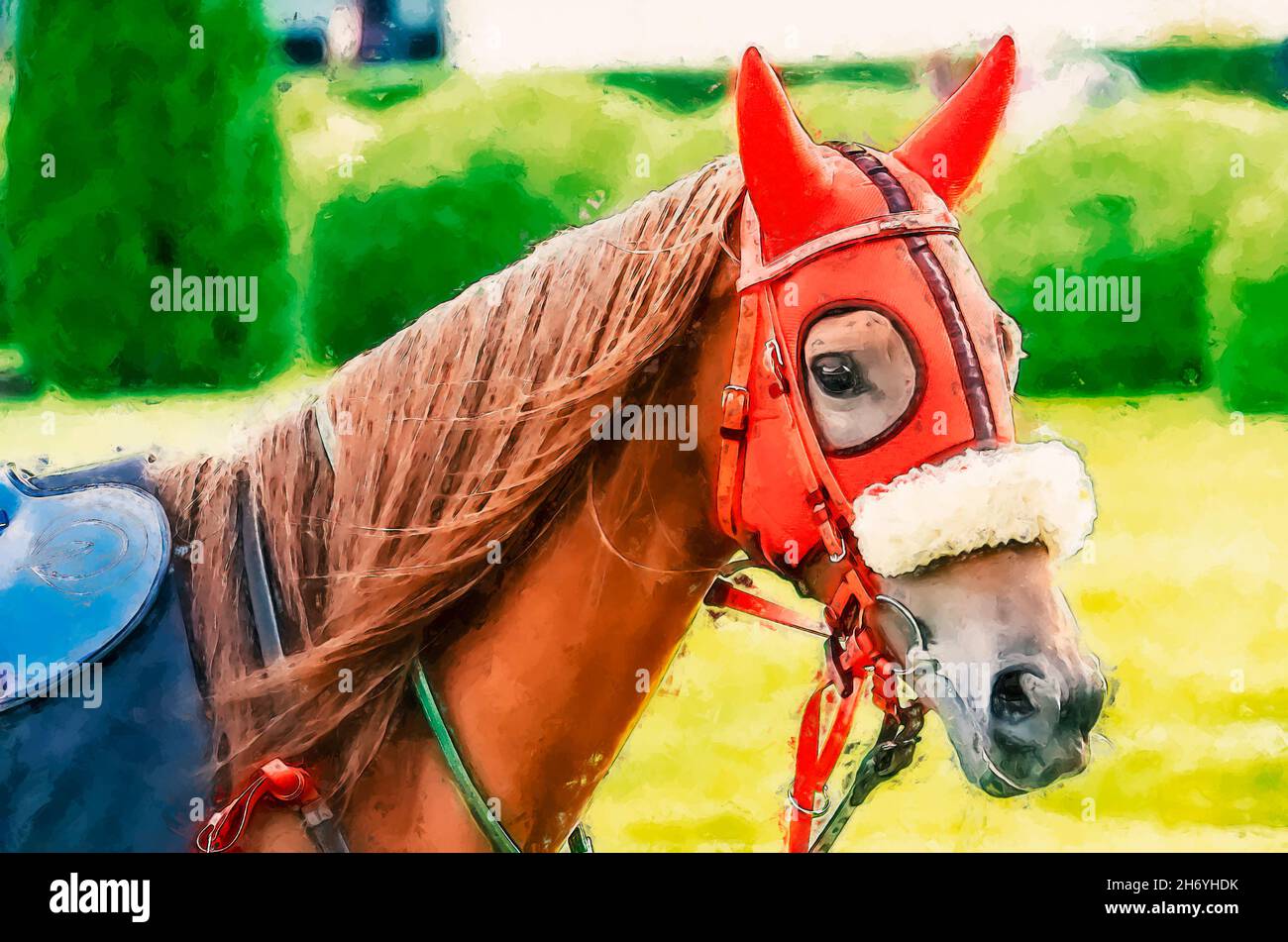 portrait of stunning dressage chestnut budyonny gelding horse in bridle ...