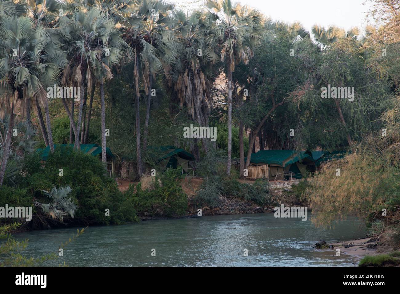 Beautiful landscape along Kunene river, in Namibia.Palm trees. Africa ...