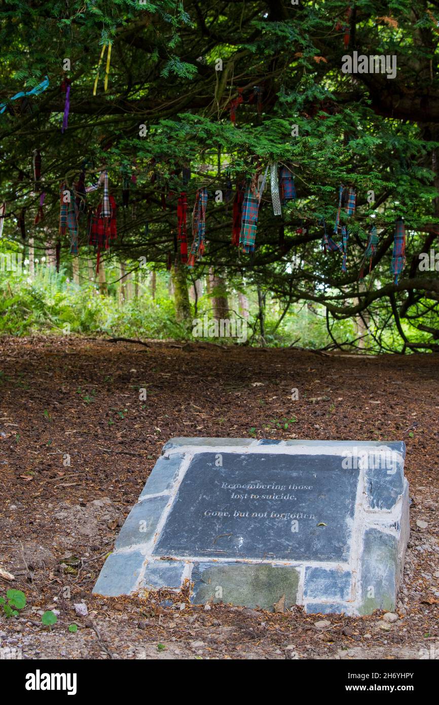Memorial stone remembering those lost to suicide at the Clootie Tree ...
