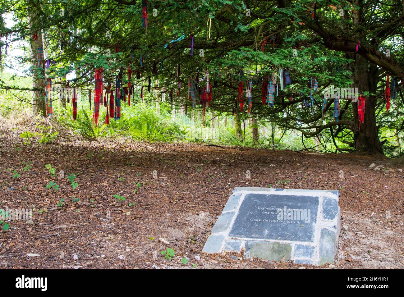 Memorial stone remembering those lost to suicide at the Clootie Tree ...