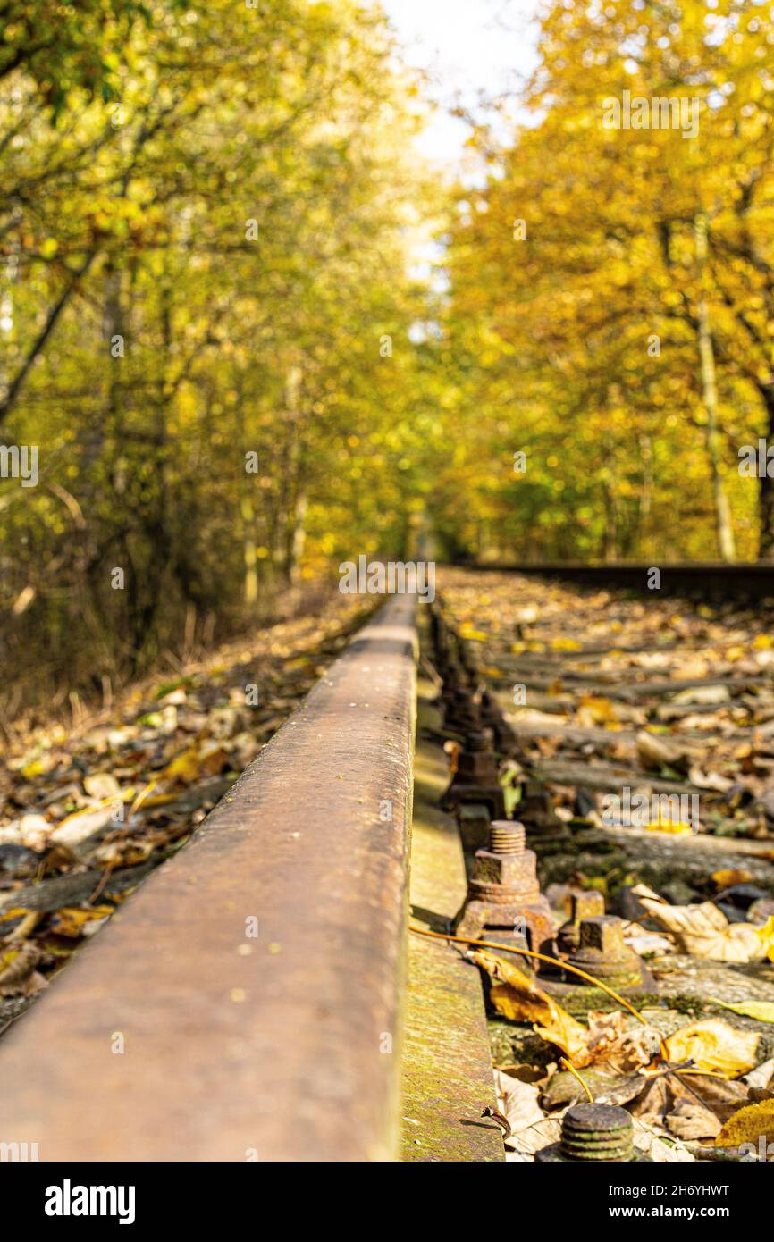 Fall leaves on railroad tracks hi-res stock photography and images - Alamy
