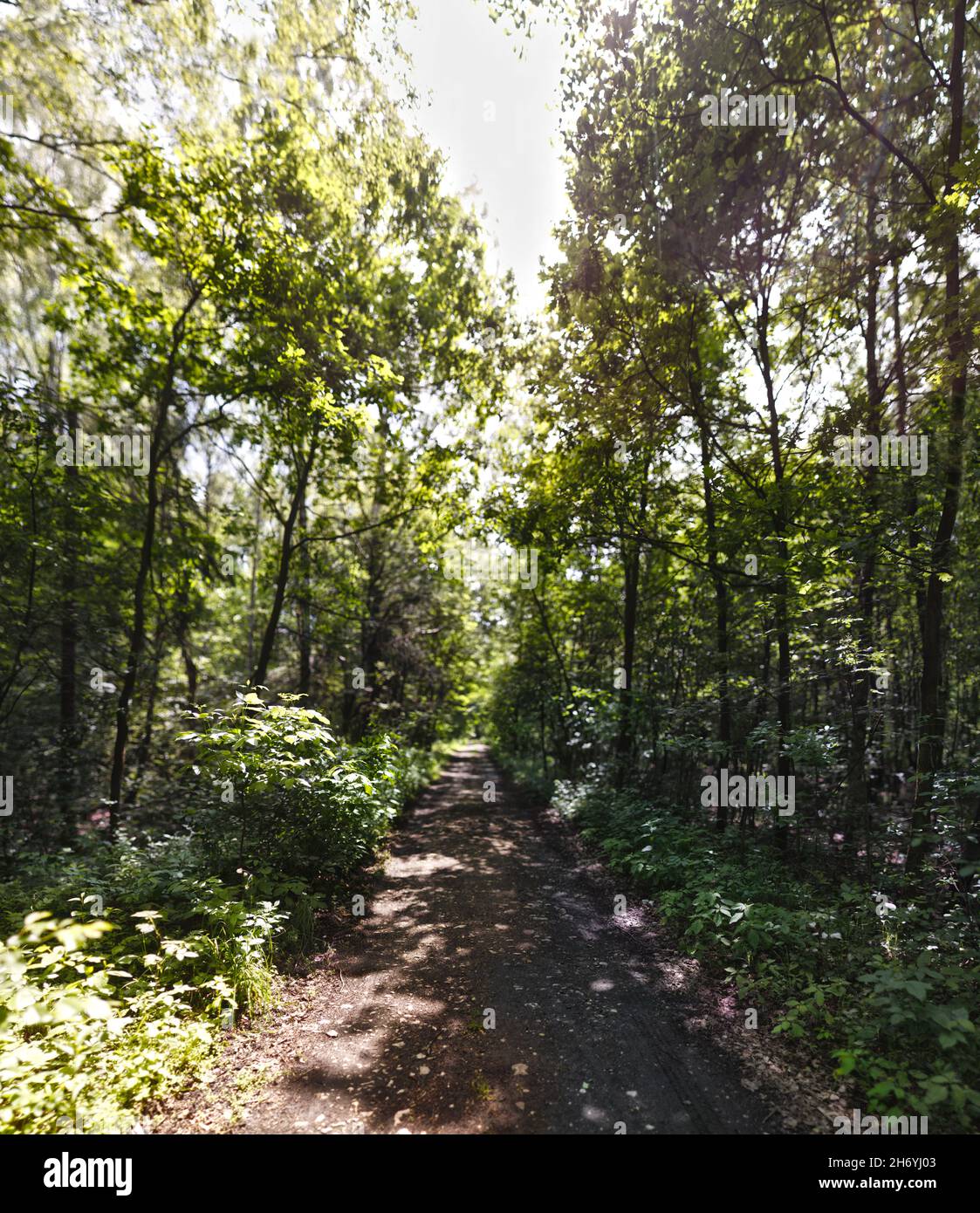 Brenizer method hi-res stock photography and images - Alamy