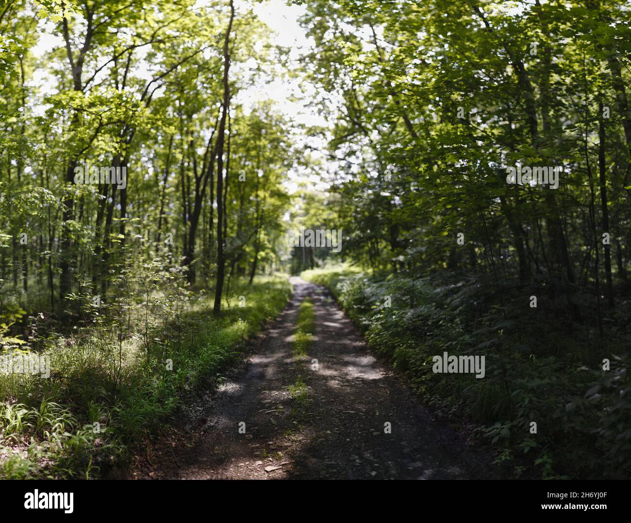 Brenizer method hi-res stock photography and images - Alamy