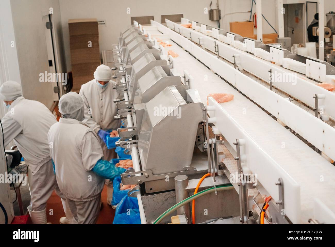Chicken fillet production line . Factory for the production of food ...