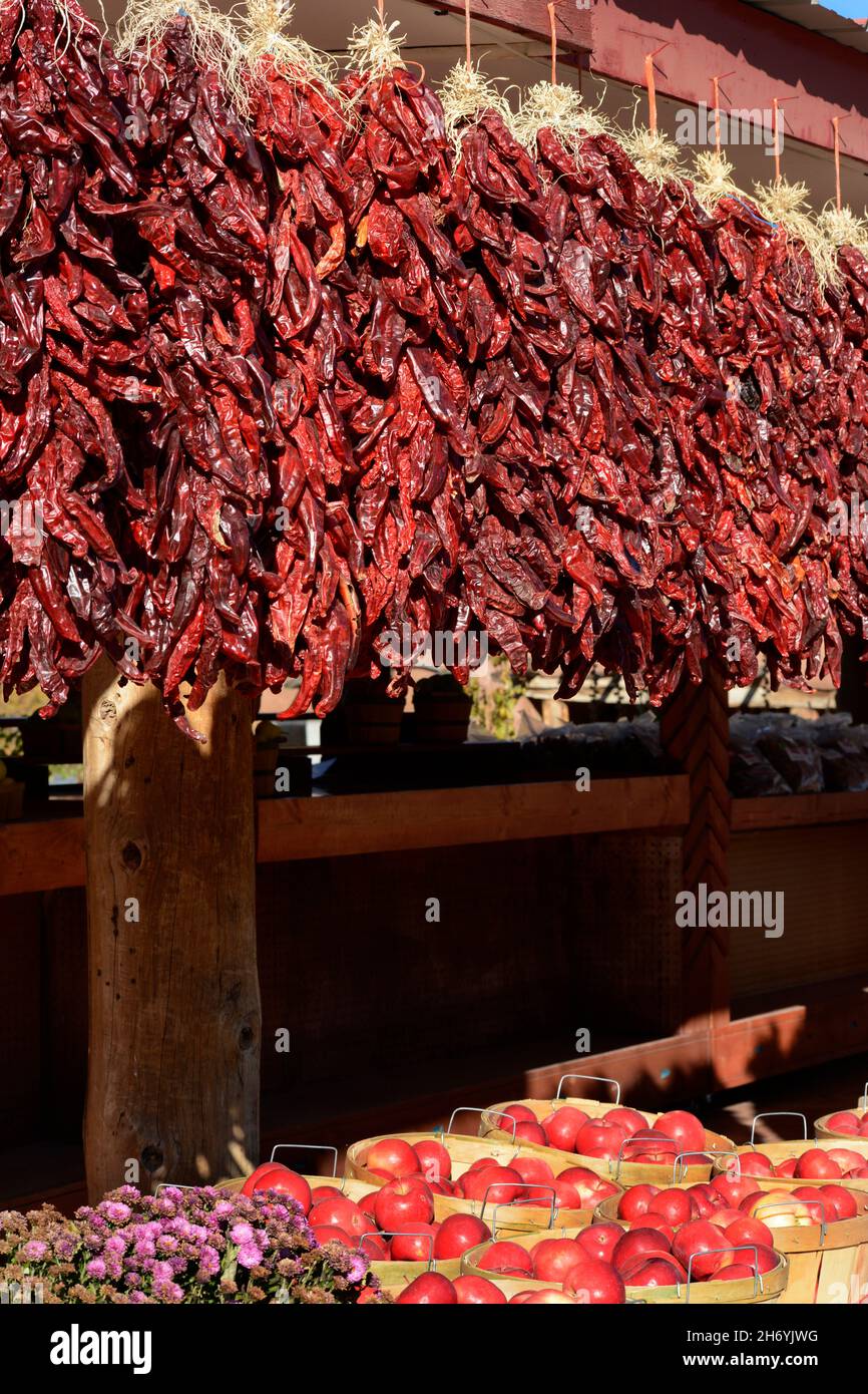 Chili ristras hi-res stock photography and images - Alamy