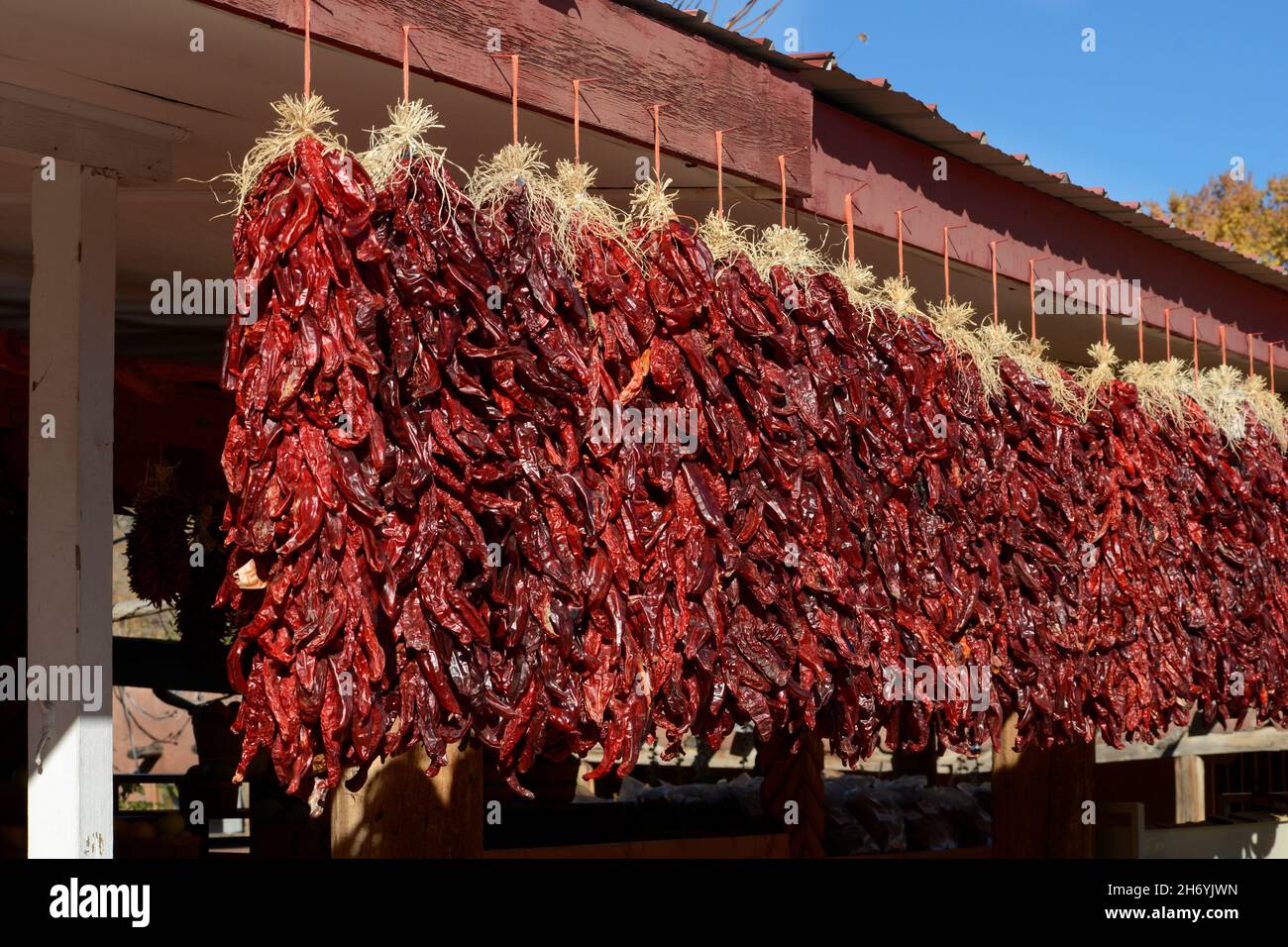 Strings of red chili peppers, called ristras, for sale at a roadside ...